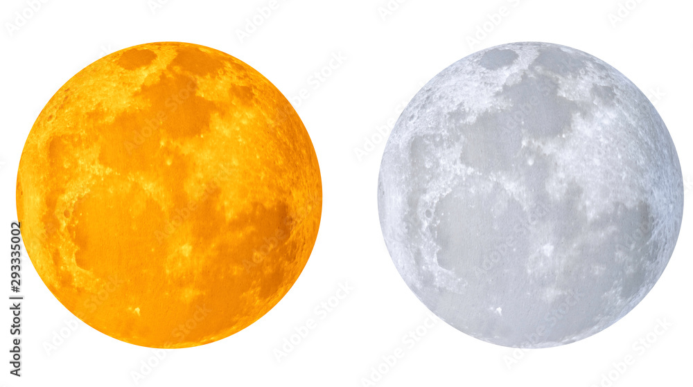 moon isolated on white with clipping path Stock Photo | Adobe Stock