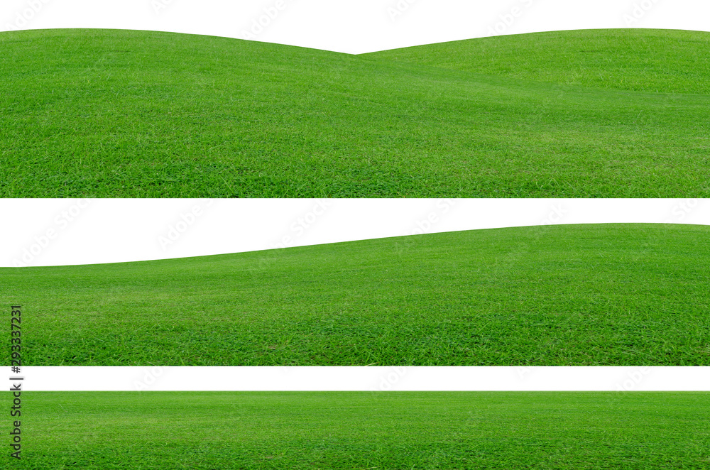 Green grass field isolated on white background with clipping path ...