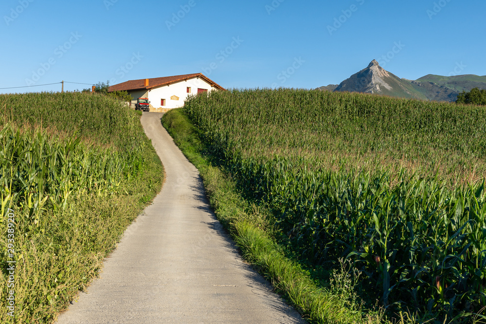 Basque farmhouse in Goierri with Txindoki mountain as background ...