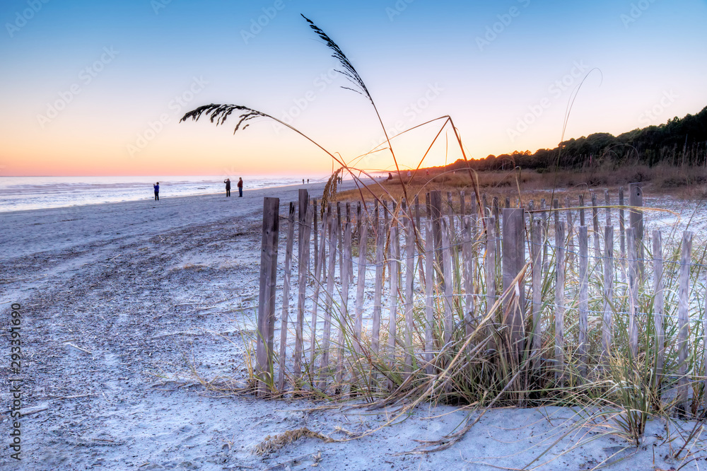 Taking Pictures Stock Photo | Adobe Stock