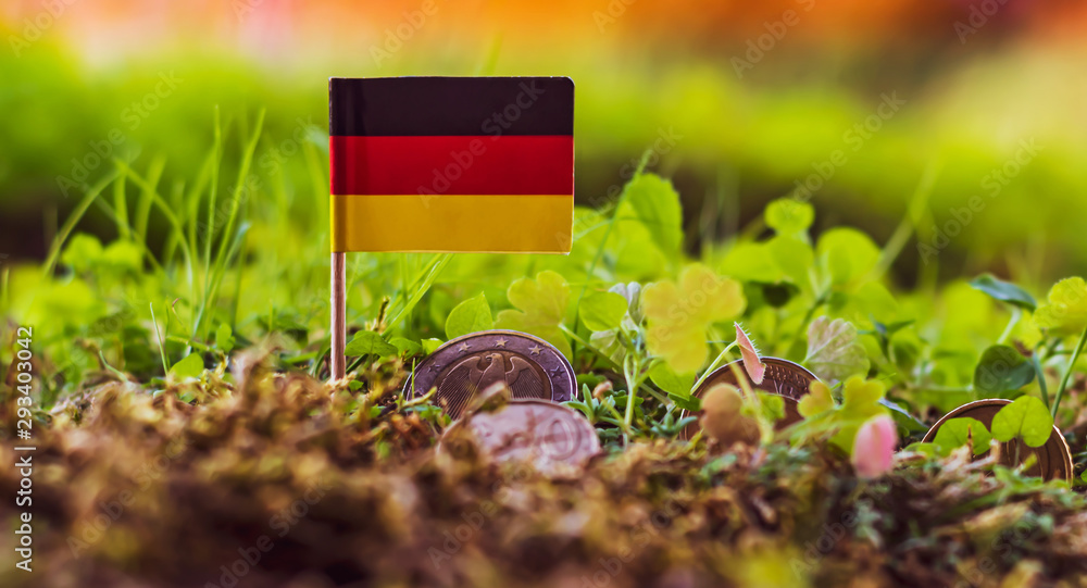 flag of Germany and euro coins in variegated moss and plant environment ...