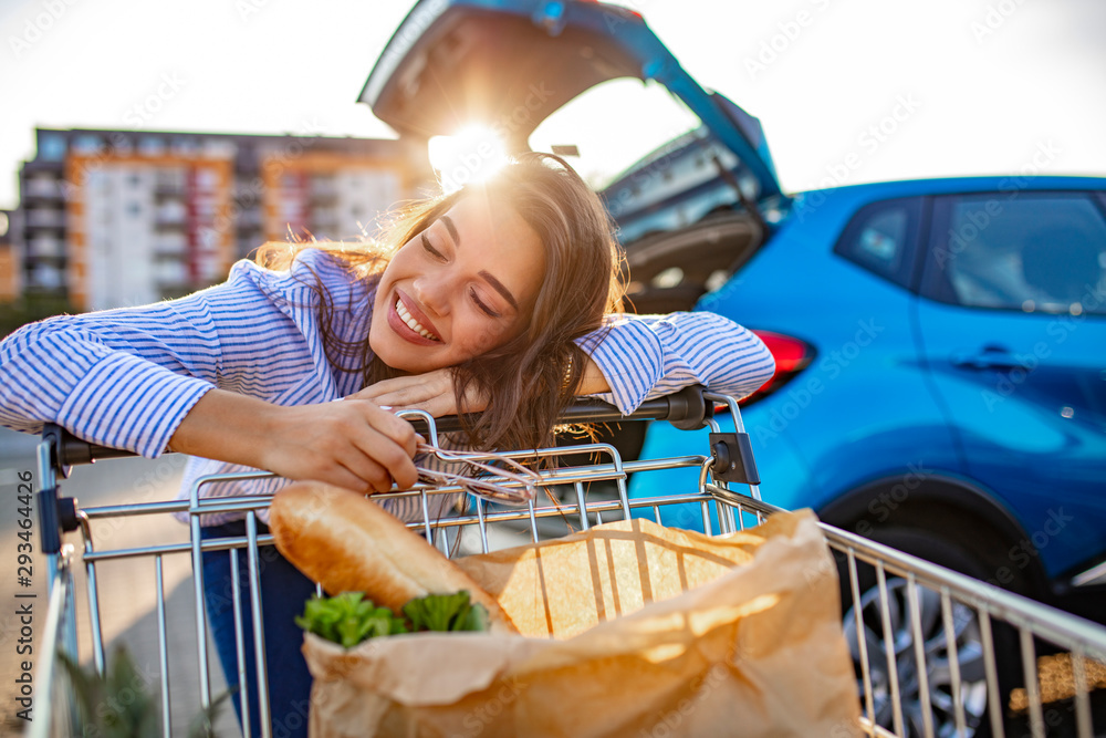 Bringing in the Shopping. Happy girl with groceries. Beautiful young ...