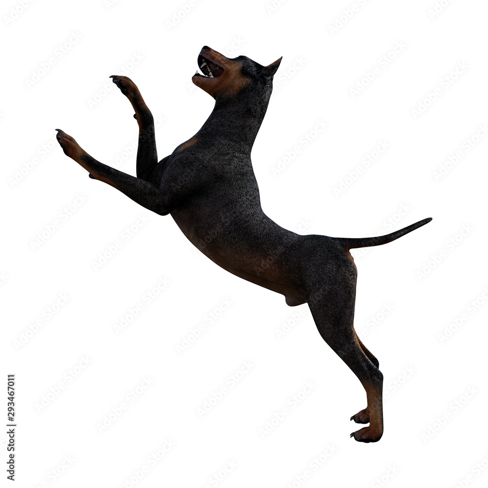 3d Illustration of a dog standing on hind legs with front paws up and ...