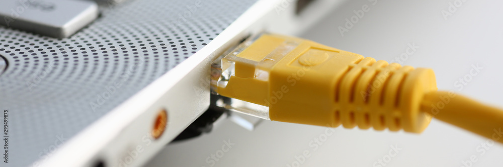 The network connector is inserted into the laptop. The LAN constructor ...