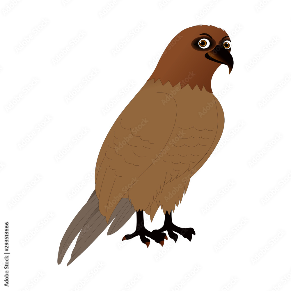 Kite Bird - Cartoon Vector Image Stock Vector | Adobe Stock