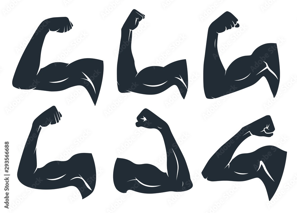 Hand muscle silhouette. Strong arm muscles, hard biceps and power gym ...