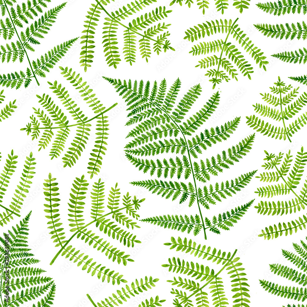 Watercolor green fern leaves seamless pattern. Hand drawn botanical ...