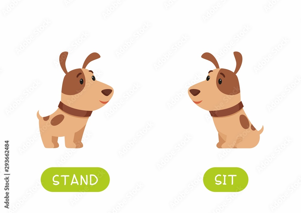 Educational word card with antonyms vector template. Flash card for ...