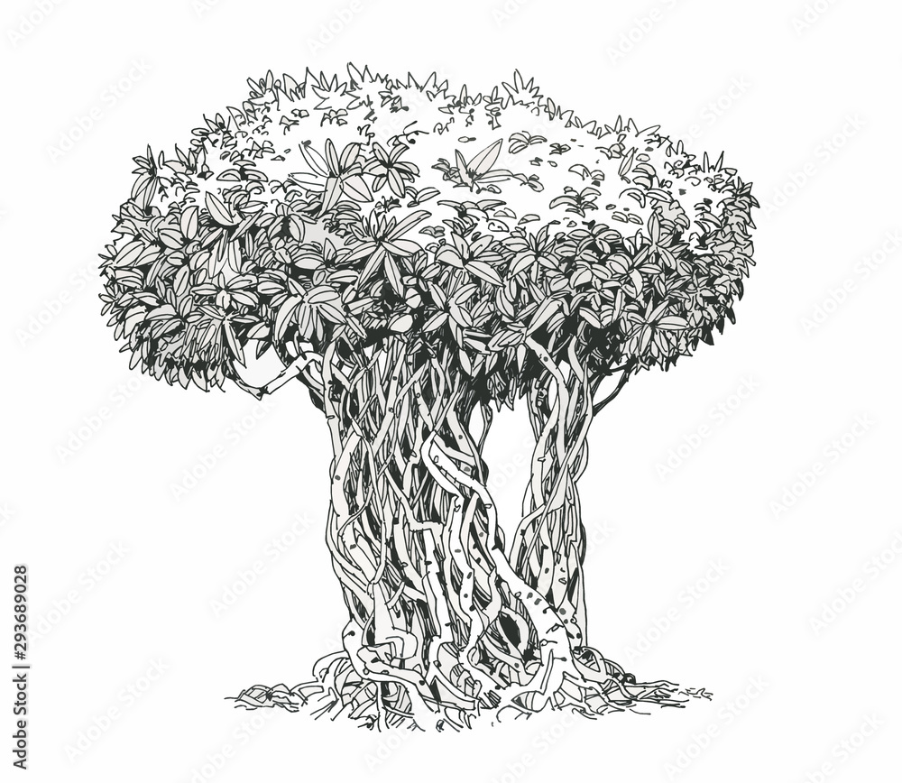 Banyan Tree Pencil Drawing