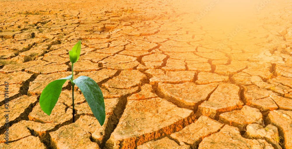 Mercury measures the heat with very hot weather with the sun shining ...