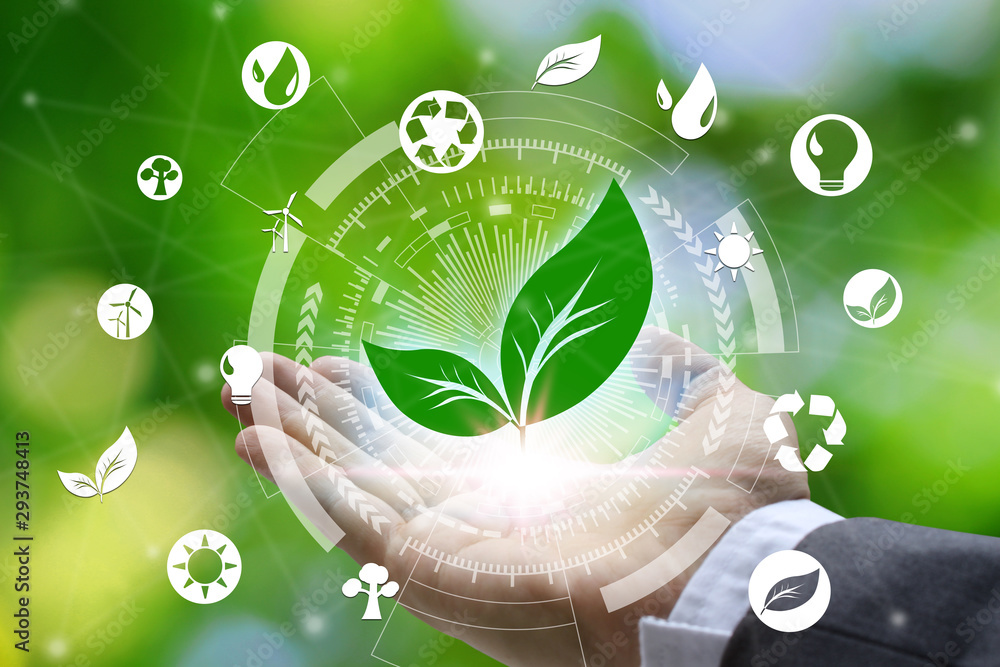 Hand holding with leaf and environment icons over the Network ...