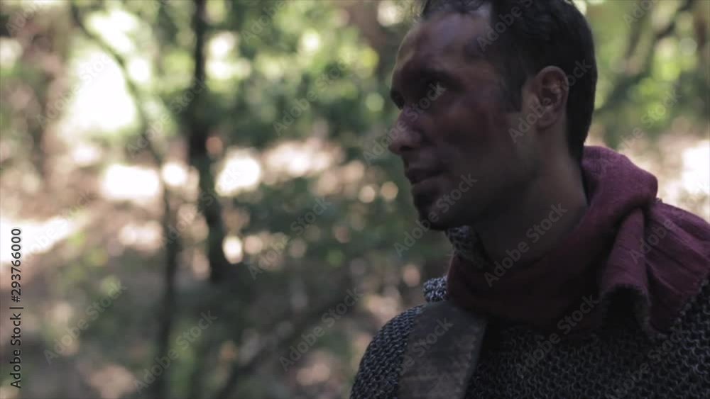 A medieval knight hit with a decapitated head Stock ビデオ | Adobe Stock