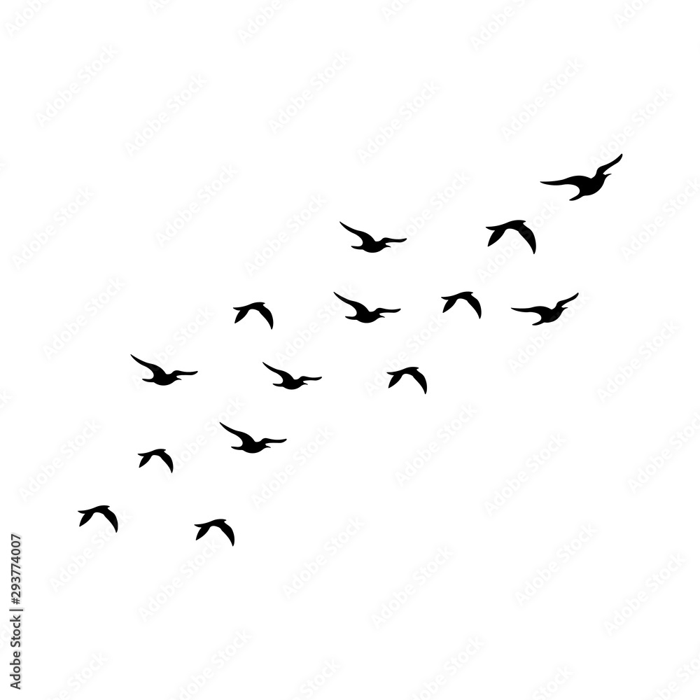 Flock Of Birds Silhouette