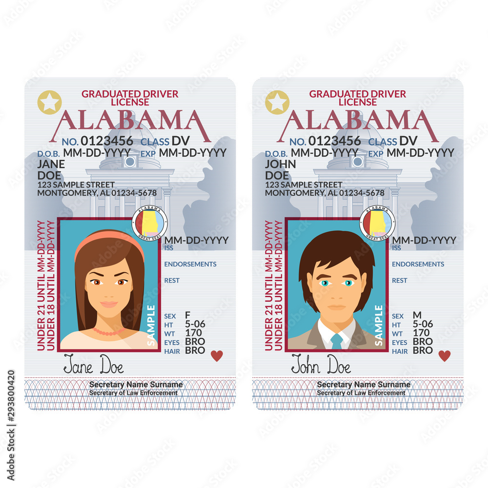 Vector template of toy graduated driver license plastic card for USA ...