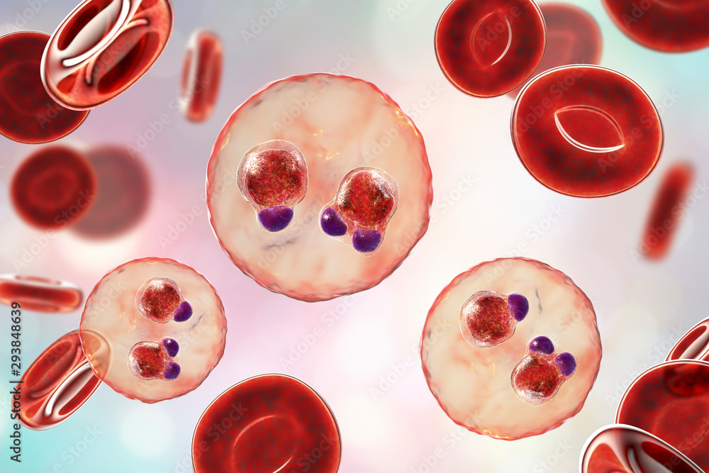 The malaria-infected red blood cells. 3D illustration showing ring-form ...