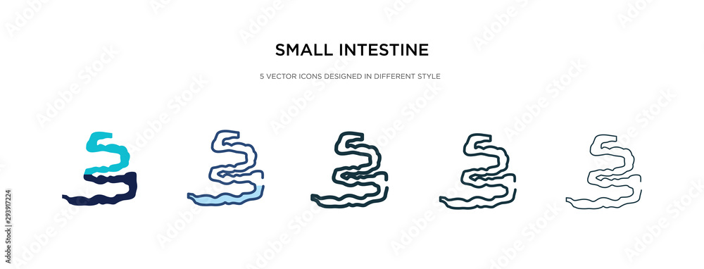 small intestine icon in different style vector illustration. two ...