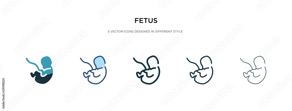 fetus icon in different style vector illustration. two colored and ...