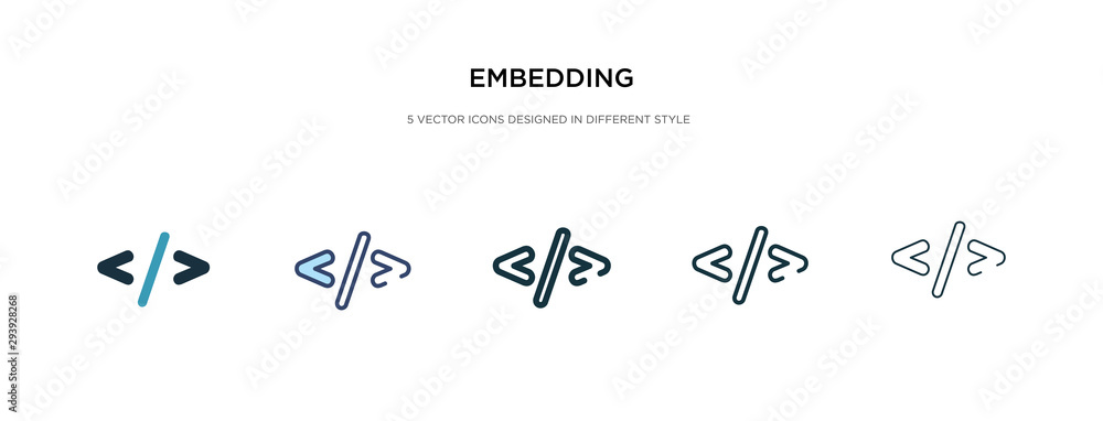 embedding icon in different style vector illustration. two colored and ...