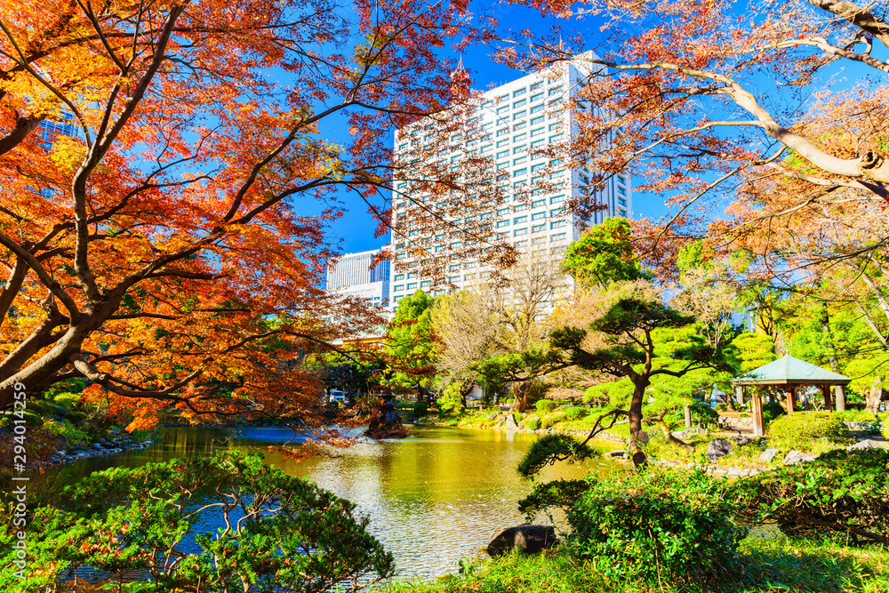 Landscape of Japanese autumn color tree and leaves and pond water in ...