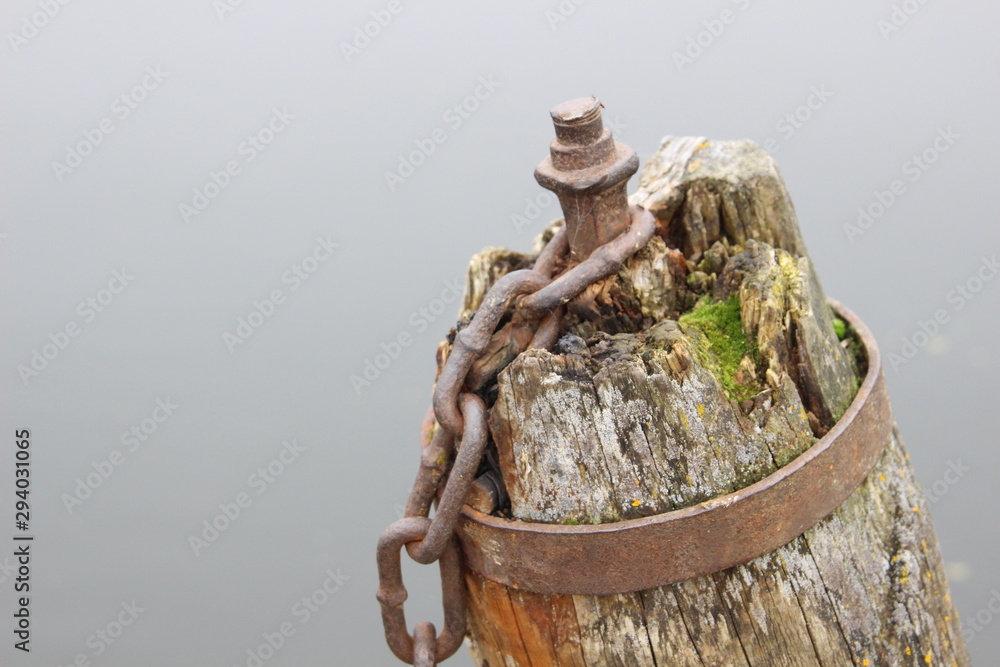Old wooden mooring post with iron chain and moss with grey water ...
