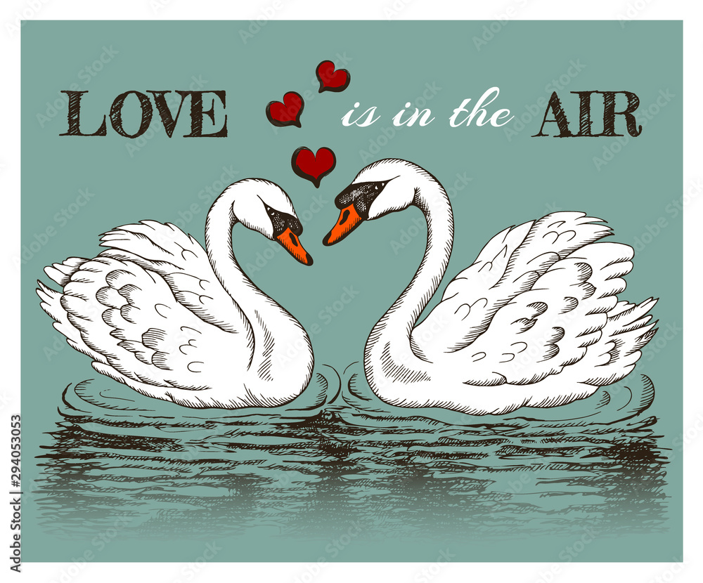 Love Swan Sketch