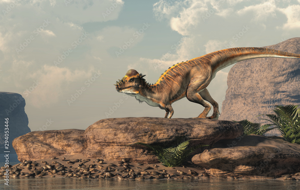 A brown Pachycephalosaurus stands by an arid lake. Pachycephalosaurus ...