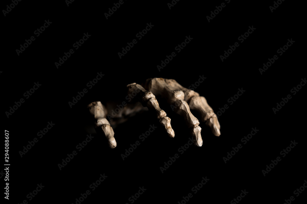 Skeleton hand Stock Photo | Adobe Stock