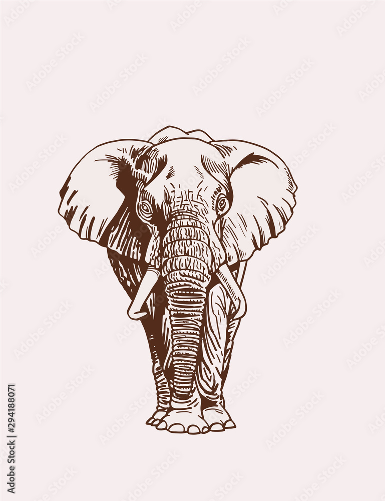 Graphical vintage sketch of elephant , vector illustration Stock Vector ...