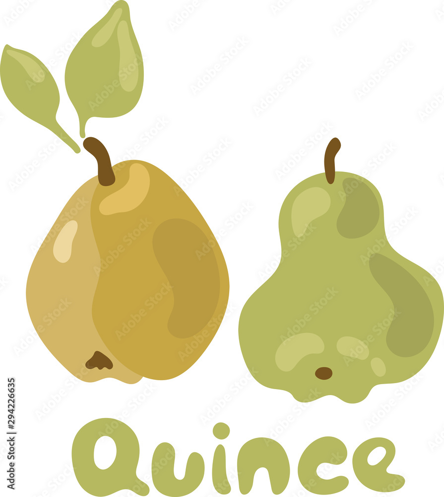 Quince with leaves icon. Vector illustration of quince in hand-drawn ...