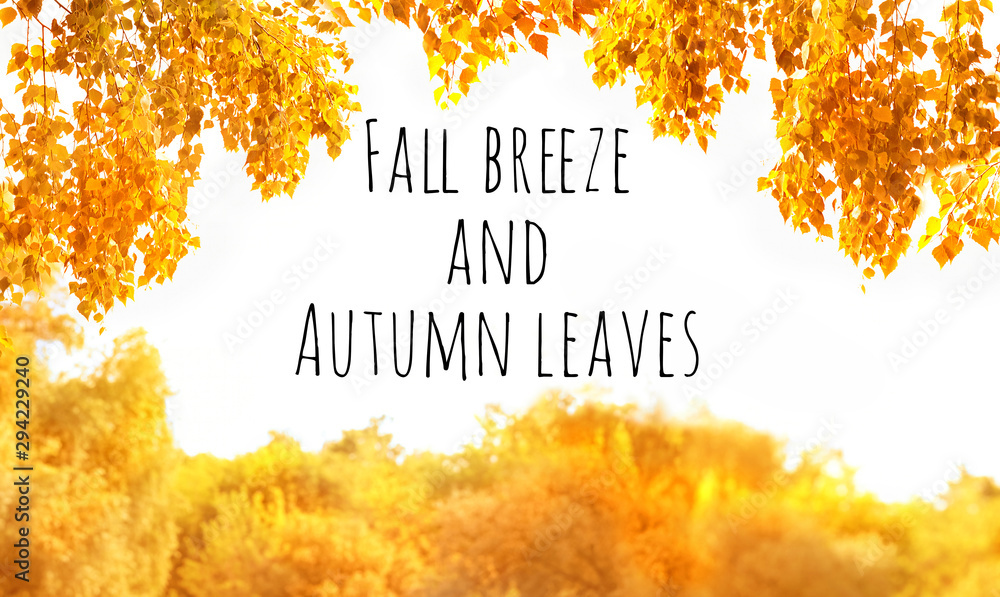 Inspirational Fall Nature Pictures