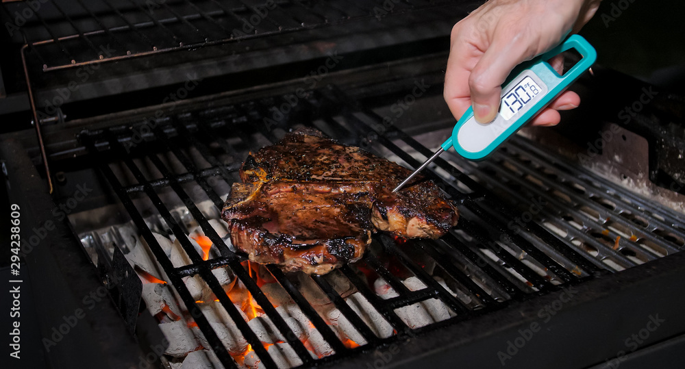Checking for safe food temperature with digital instant thermometer ...