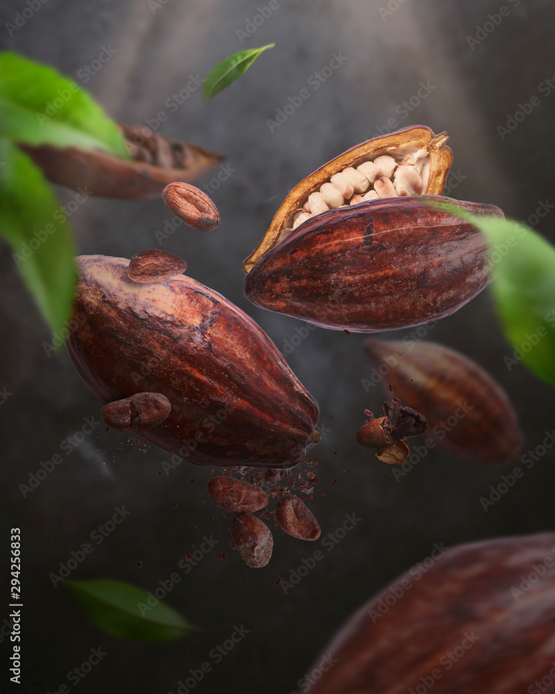Cocoa pod flying in the air. Cracked cocoa pod and bean levitate on ...