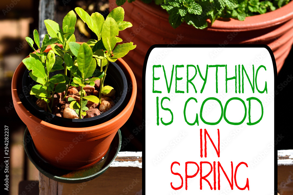 Writing note showing Everything Is Good In Spring. Business concept for ...