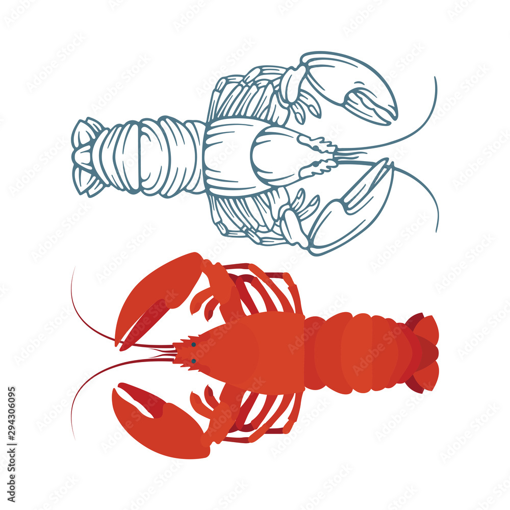 Lobster. Sketch and realistic drawn lobsters vector illustrations set ...