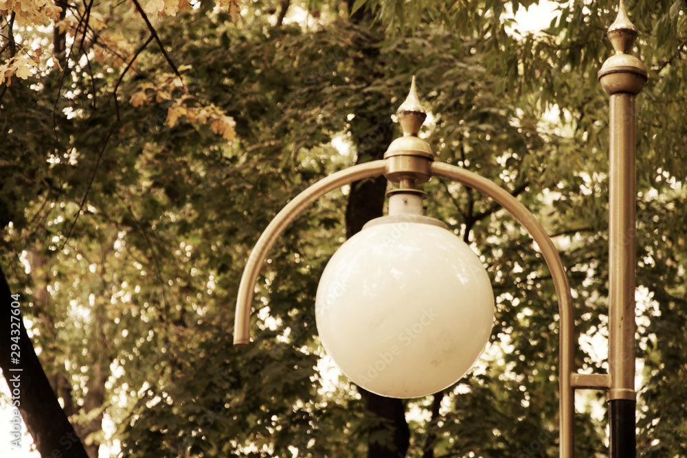 Street light in front of trees with a colorful fall foliage. Stock-Foto ...