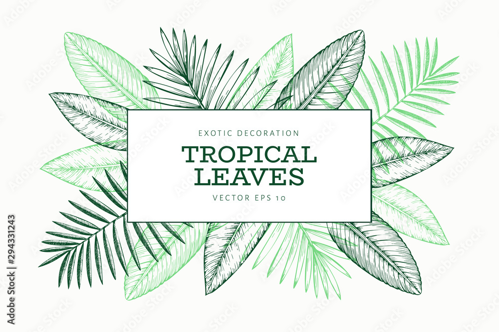 Tropical plants banner design. Hand drawn tropical summer exotic leaves ...