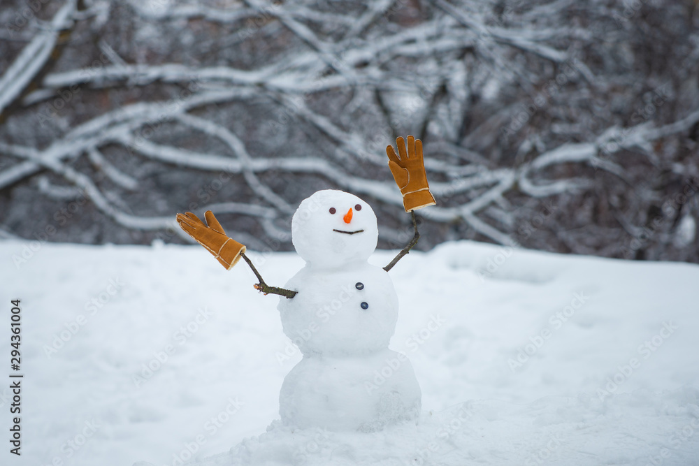 Happy Winter Friends