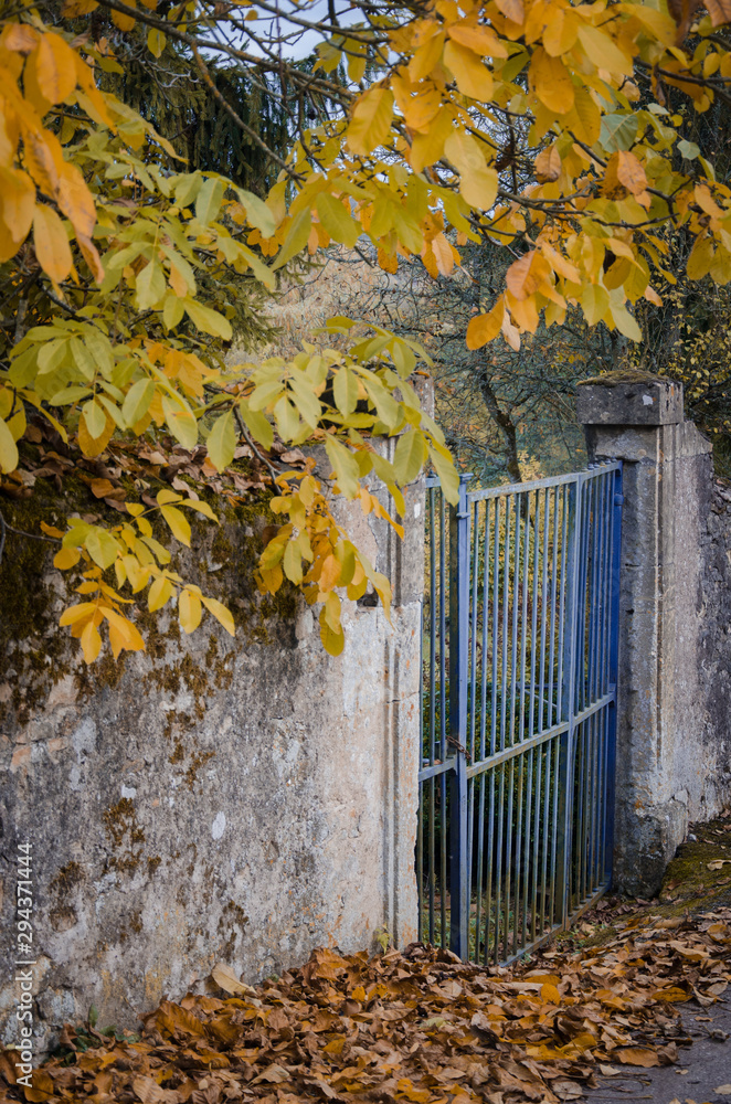 un portail bleu et un arbre jaune. Une vieille entrée et un arbre ...