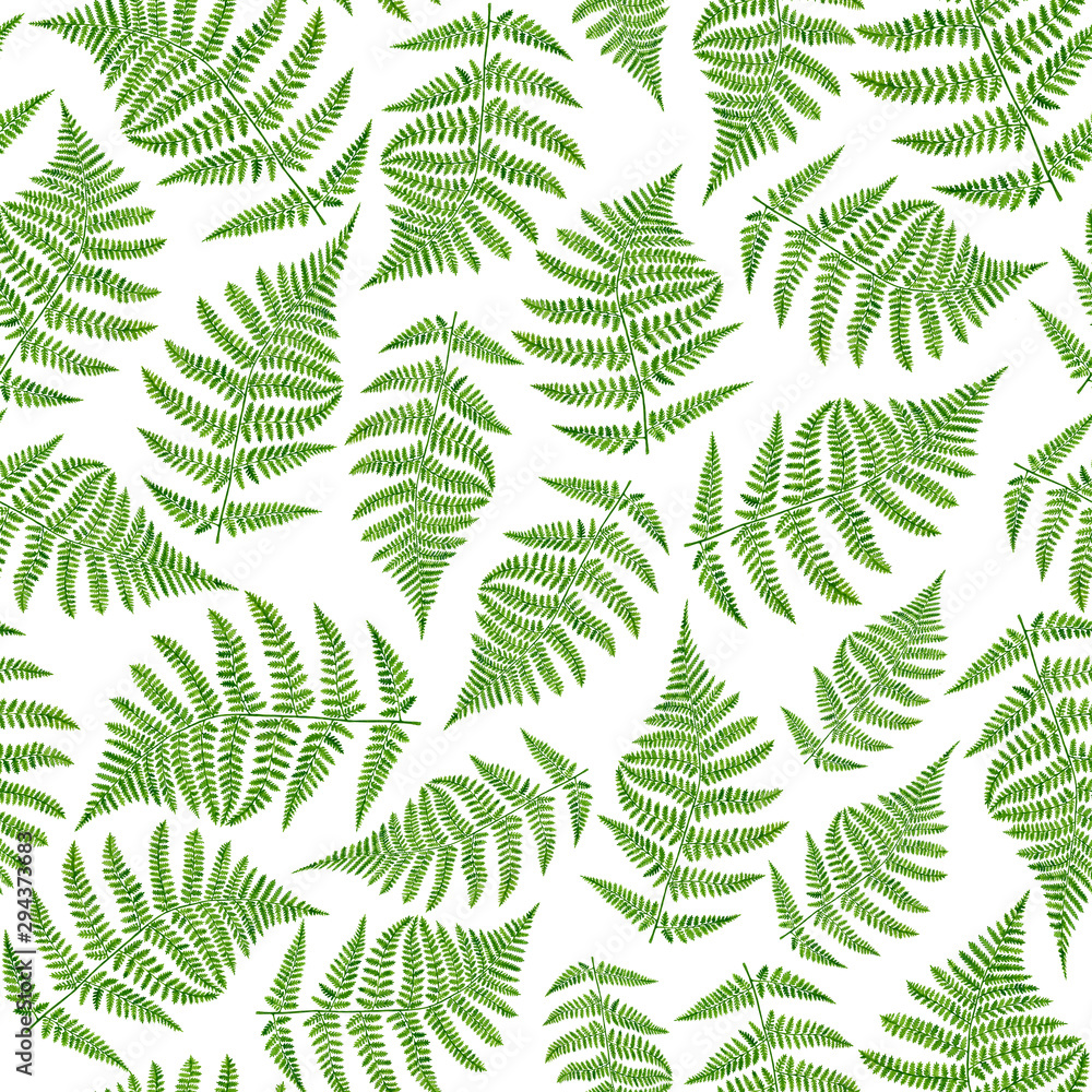 Watercolor green fern leaves seamless pattern. Hand drawn botanical ...
