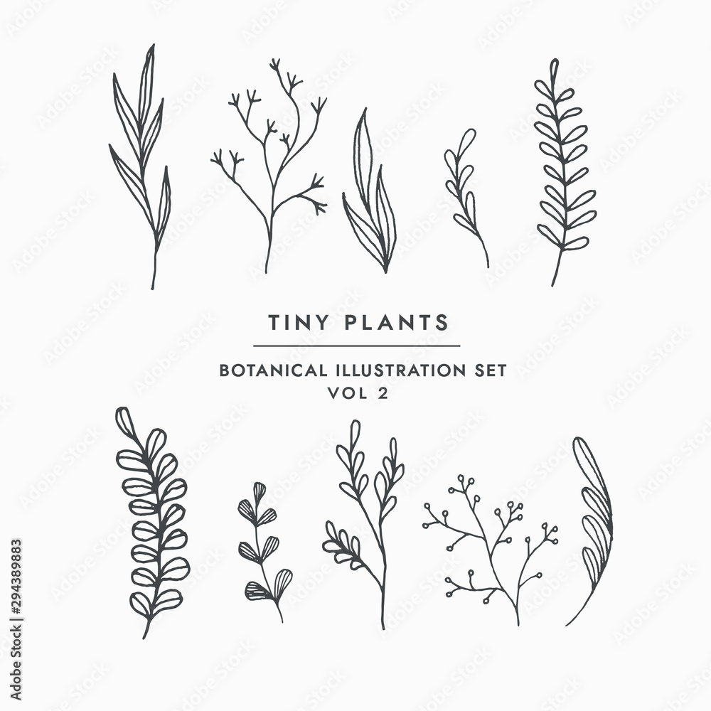 Tiny Leaves Plants Hand drawn vector illustration for logo, invitations ...