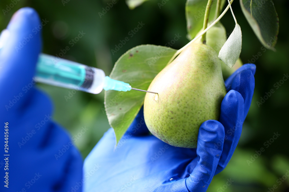 Focus on pesticides used in fruits food. Gloved arm of GMO scientist ...