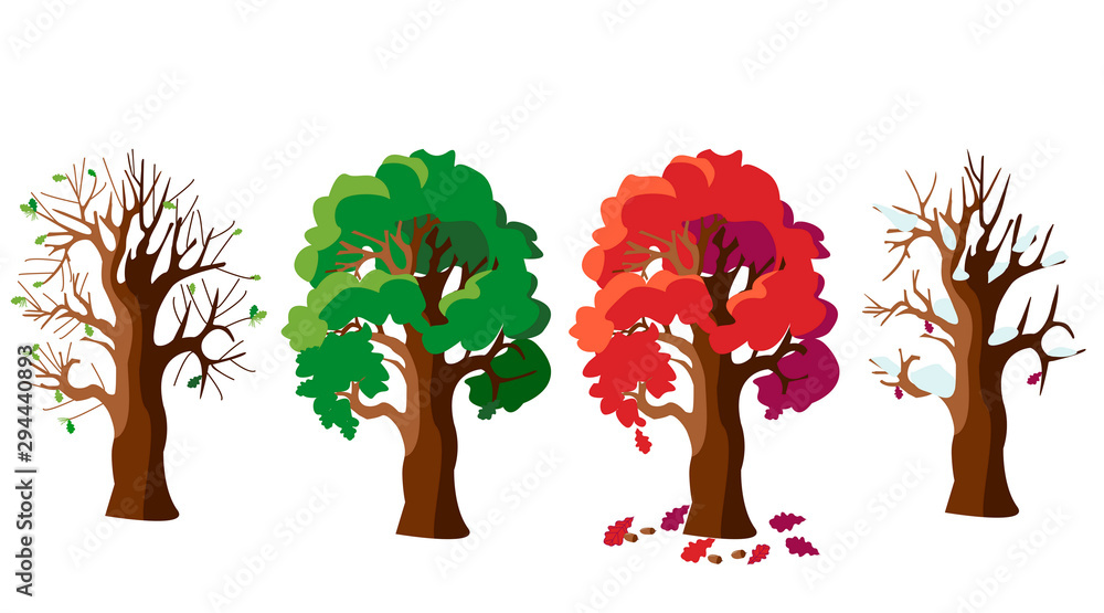 Oak tree in four versions. Four seasons: autumn, winter, spring, summer ...