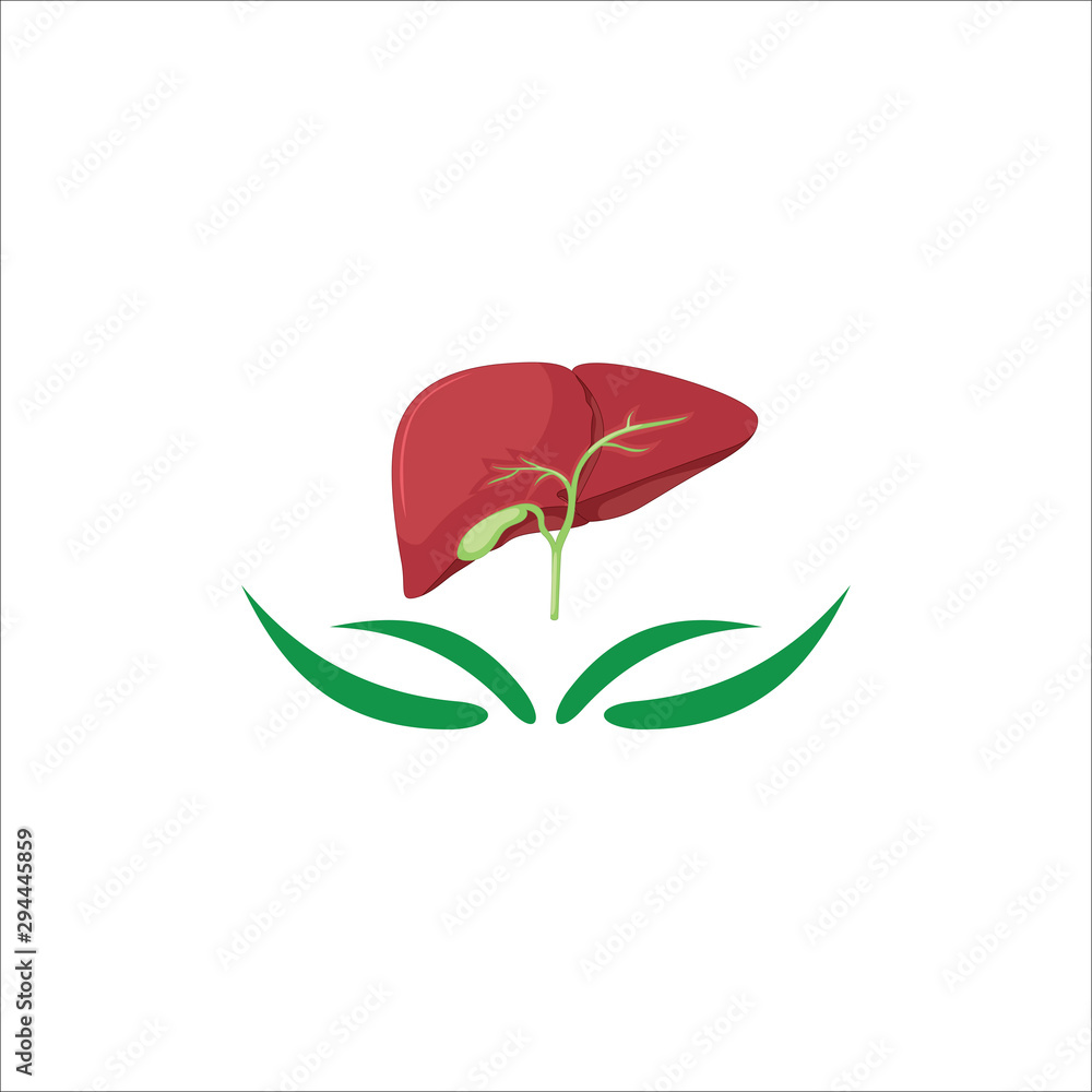 vector liver icon flat logo,human disease health design,liver anatomy ...