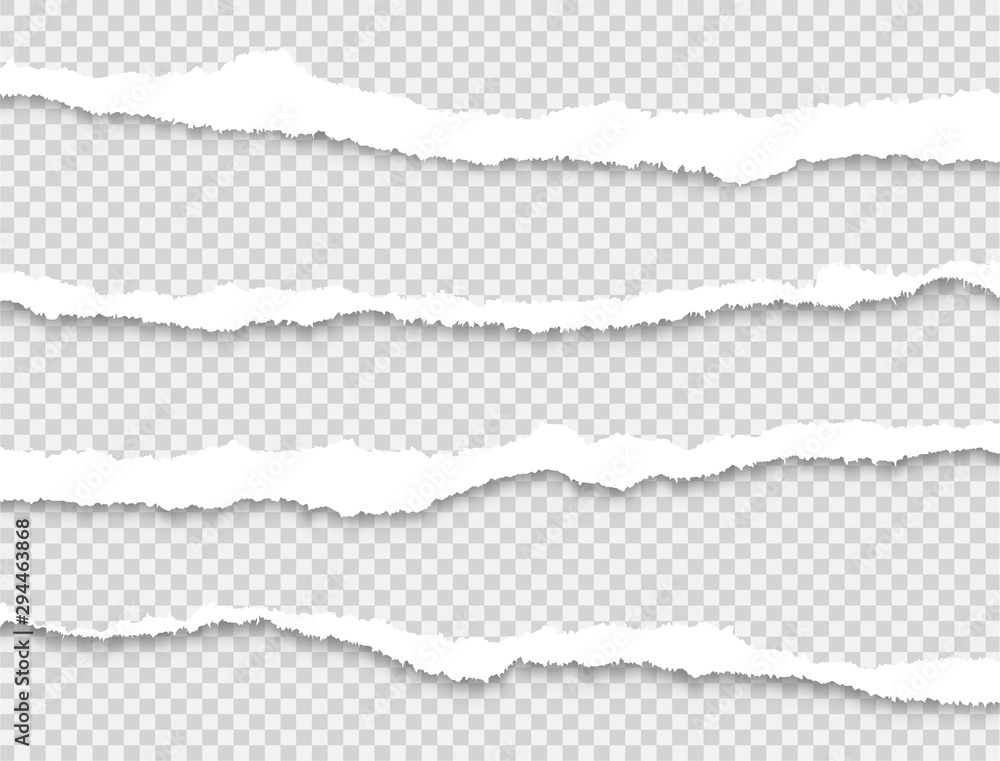 Torn paper edges set. Vector illustration Stock Vector | Adobe Stock