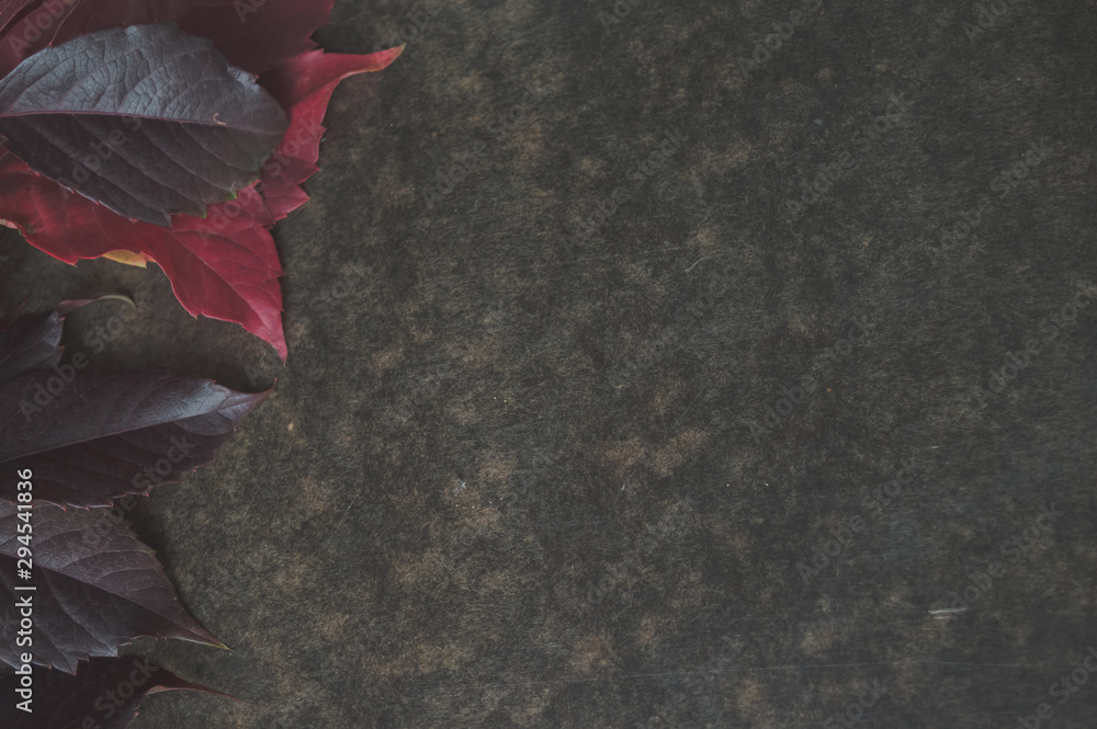 Dark Autumn Leaves Background