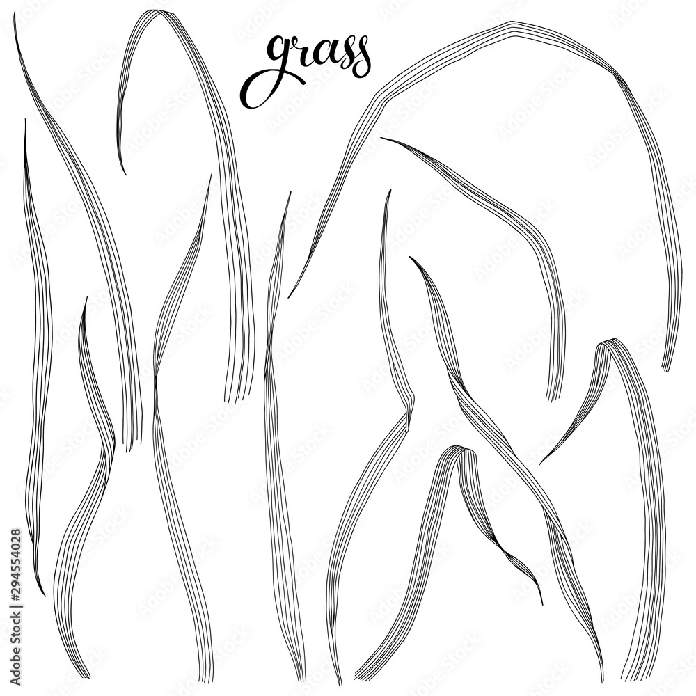 Grass Drawing Outline