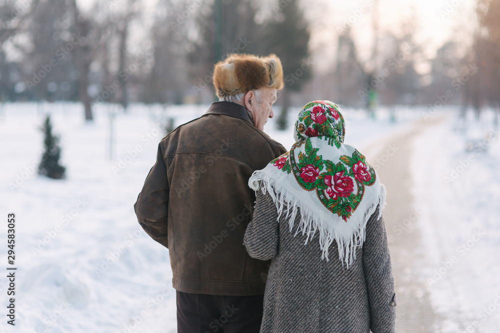 Back view of elderly couple walking in the park. Happy old people ...