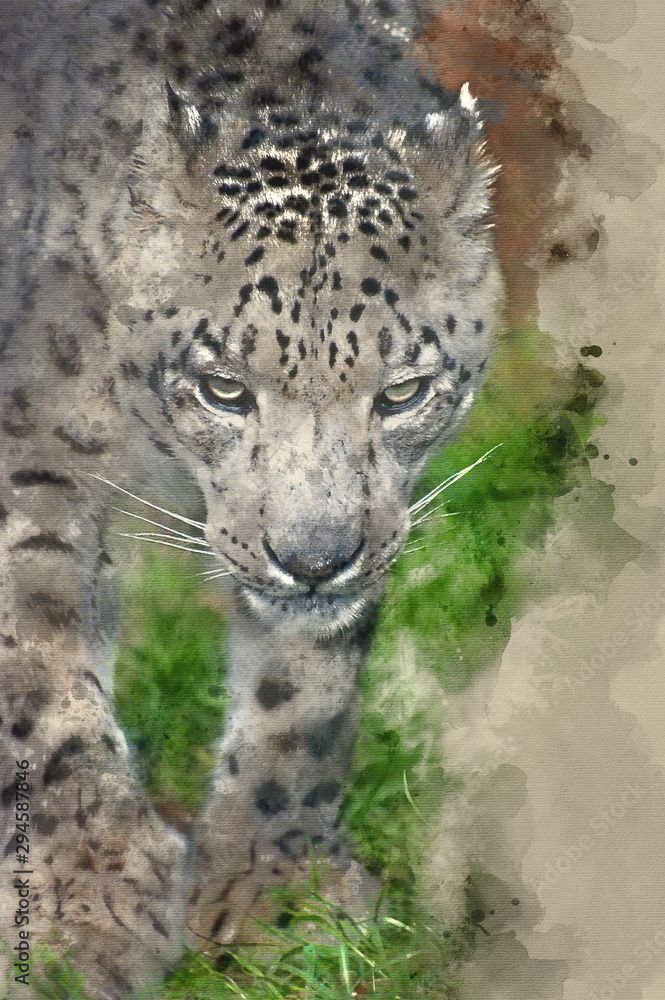 Snow Leopard Digital Art