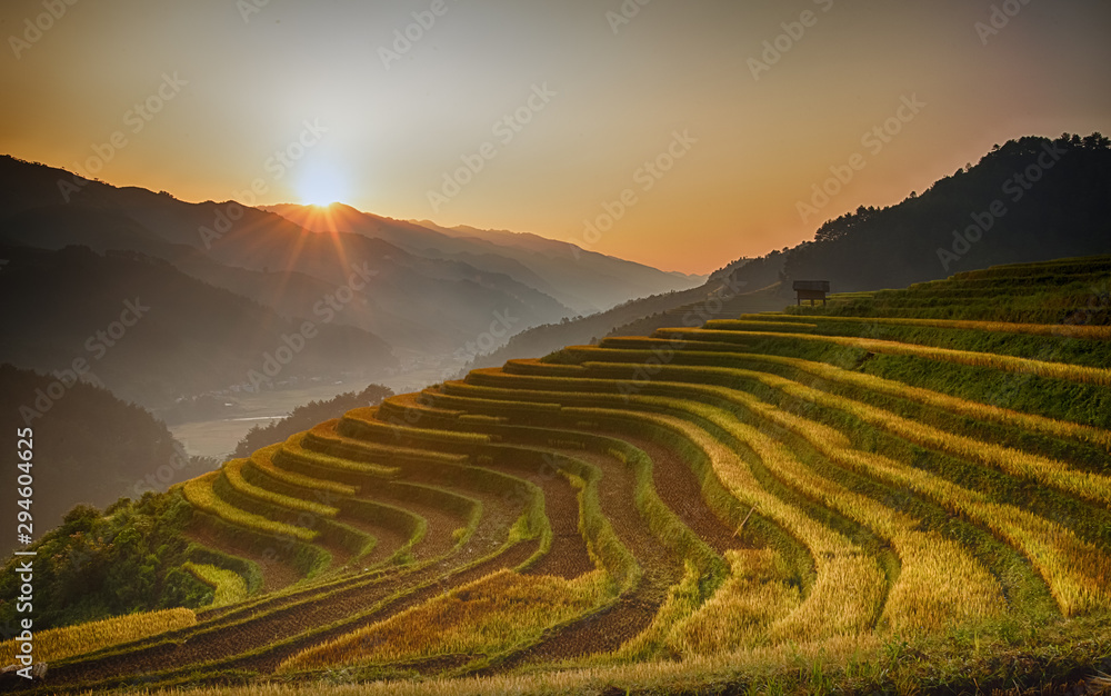 Mountain rice planting Rice fields on the terrace of Cang Chai village ...