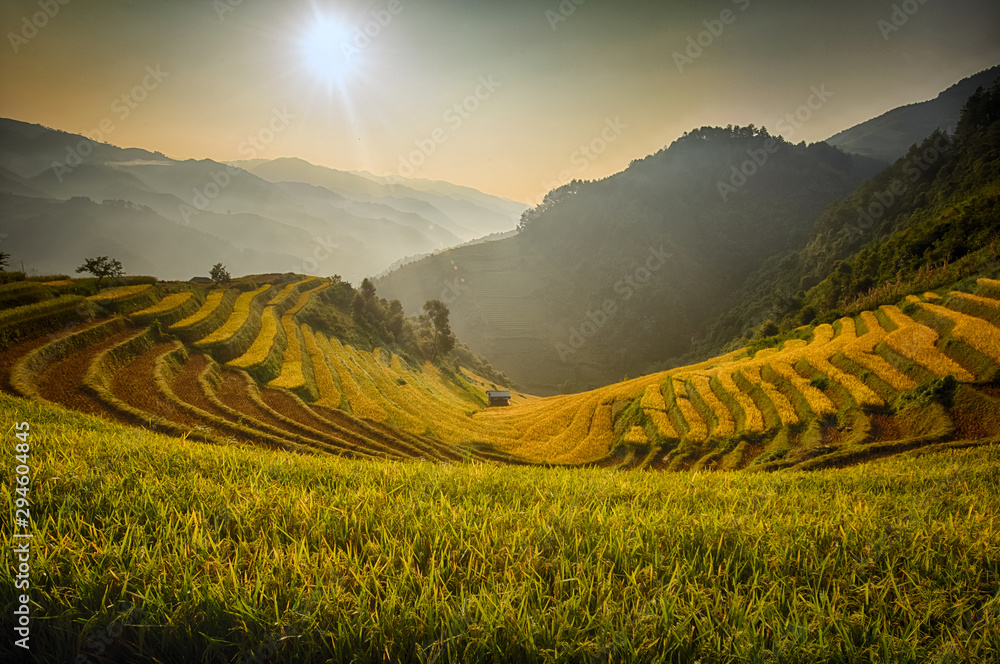 Mountain rice planting Rice fields on the terrace of Cang Chai village ...